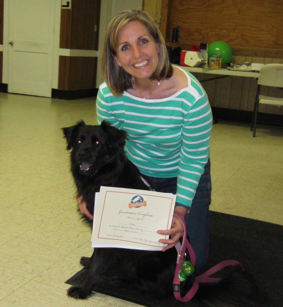 Gallery - DogSense Training Services