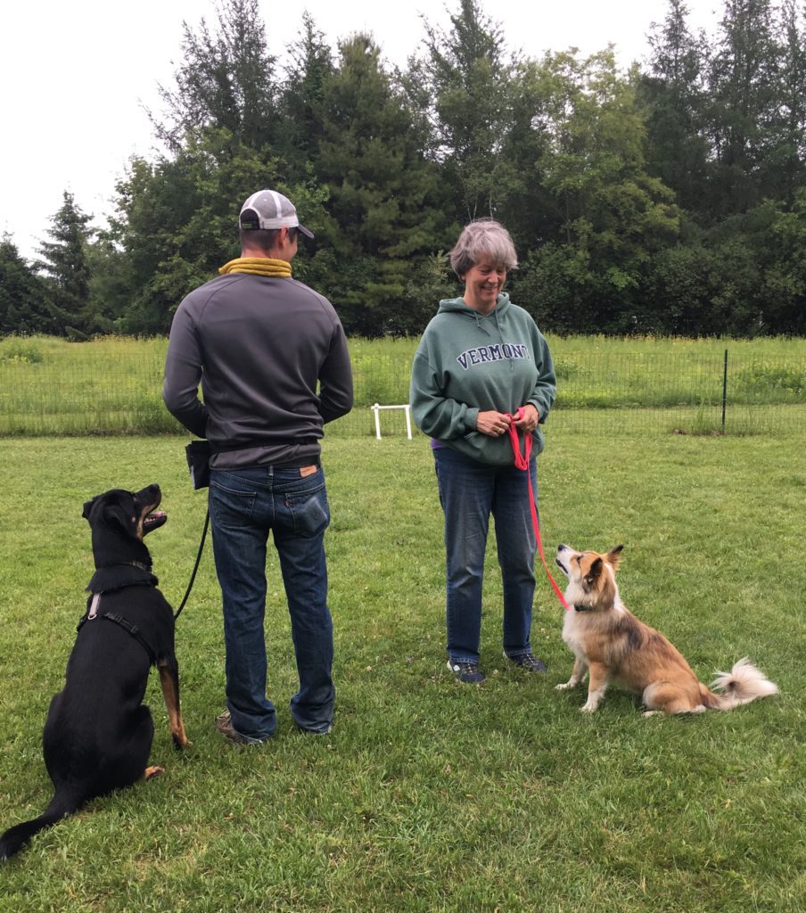 Gallery - DogSense Training Services